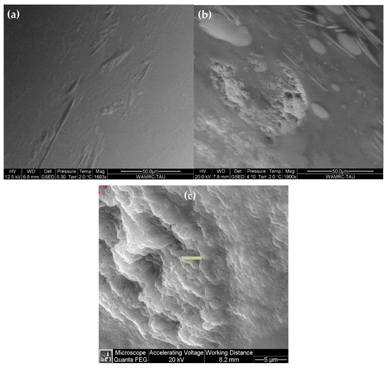 Microbial Degradation of Epoxy