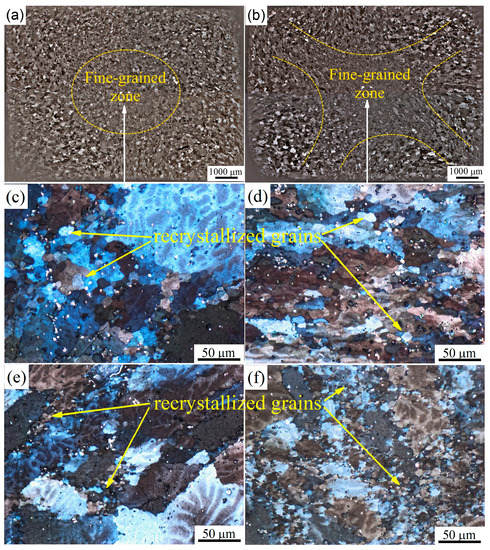 Effect of Multidirectional Forging on the Grain Structure and ...