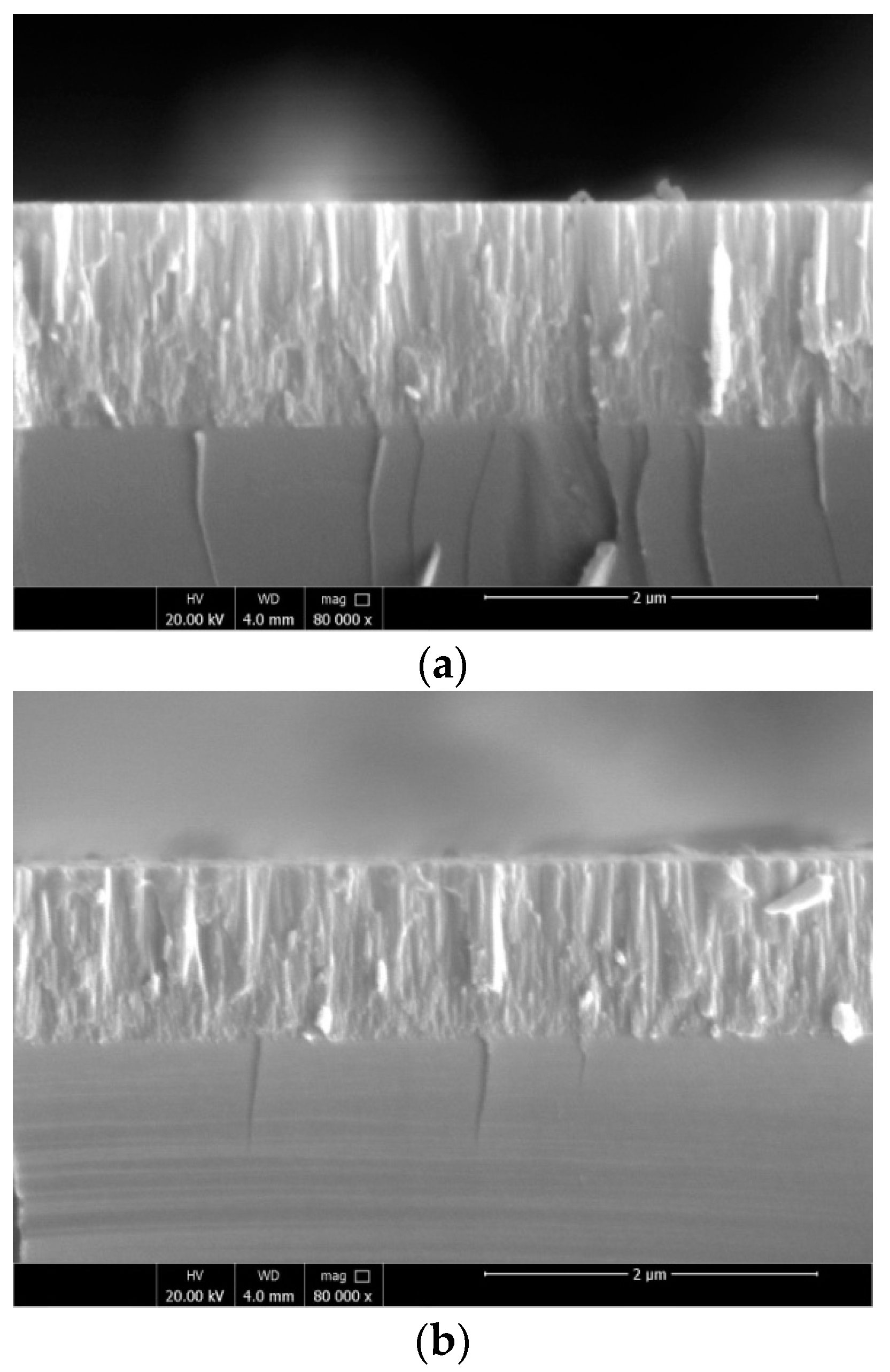 Substrate Temperature Dependent Properties of Sputtered AlN:Er Thin ...