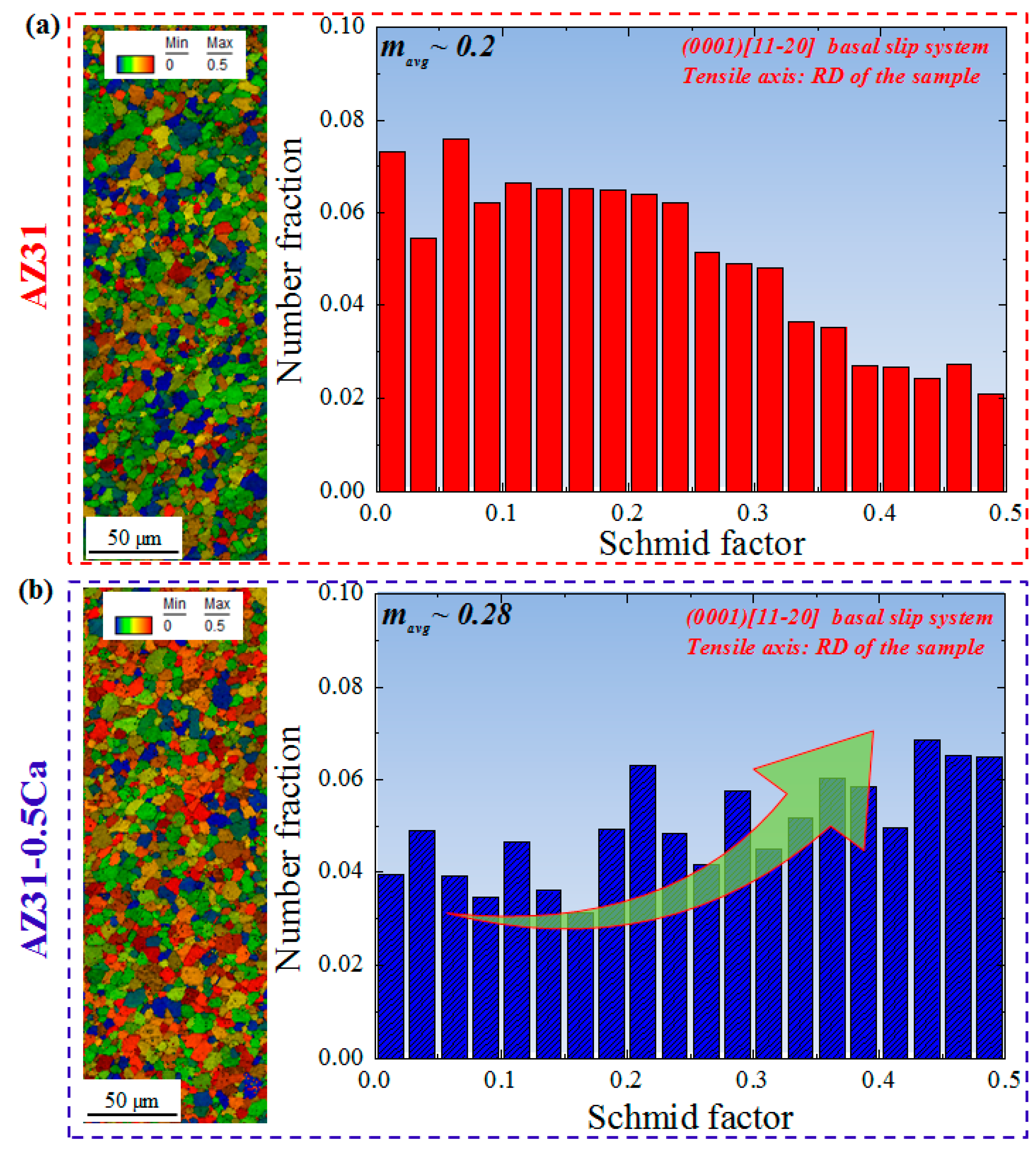 On the High Formability of AZ31-0.5Ca Magnesium Alloy