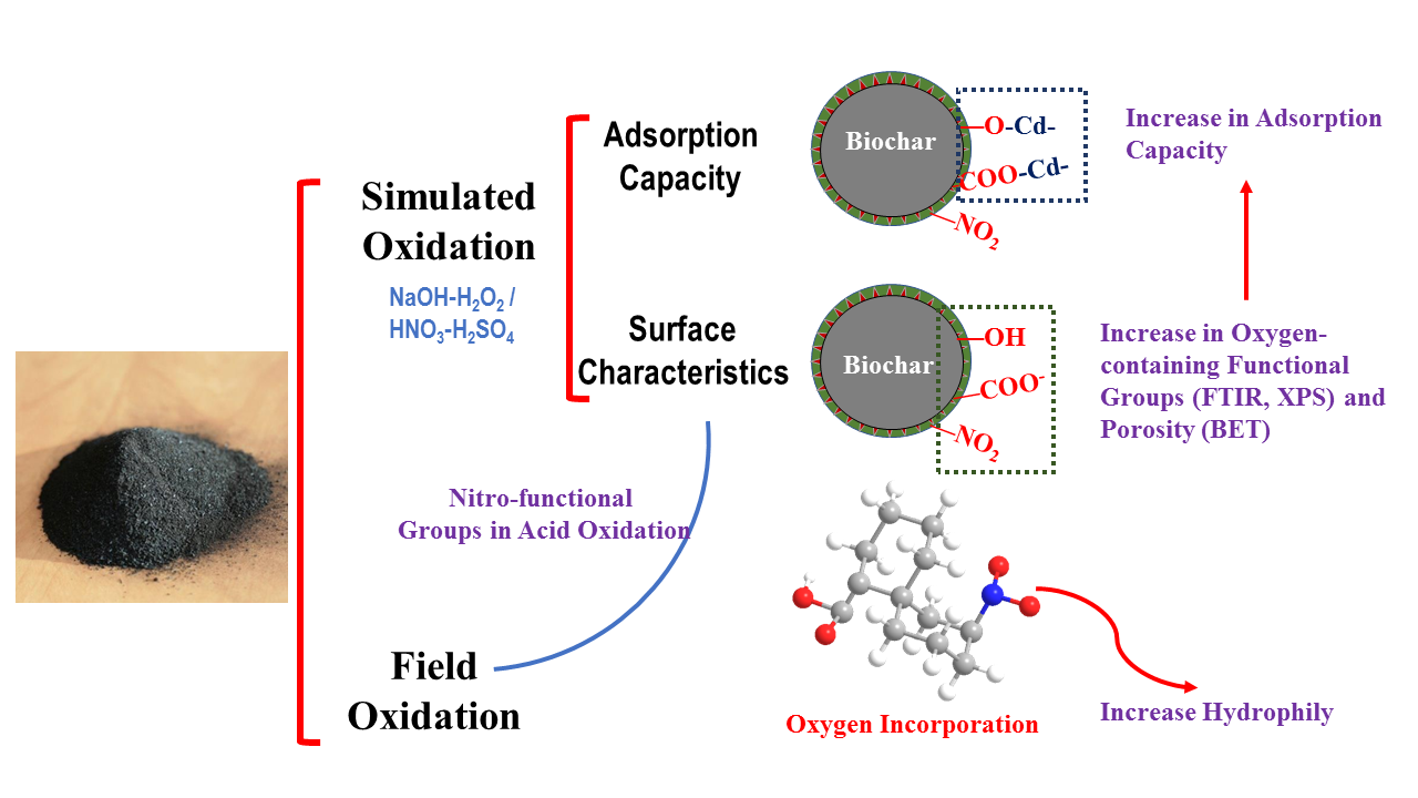 Materials | Free Full-Text | Effects of Wet Oxidation Process on ... Materials | Free Full-Text | Effects of Wet Oxidation Process on ...