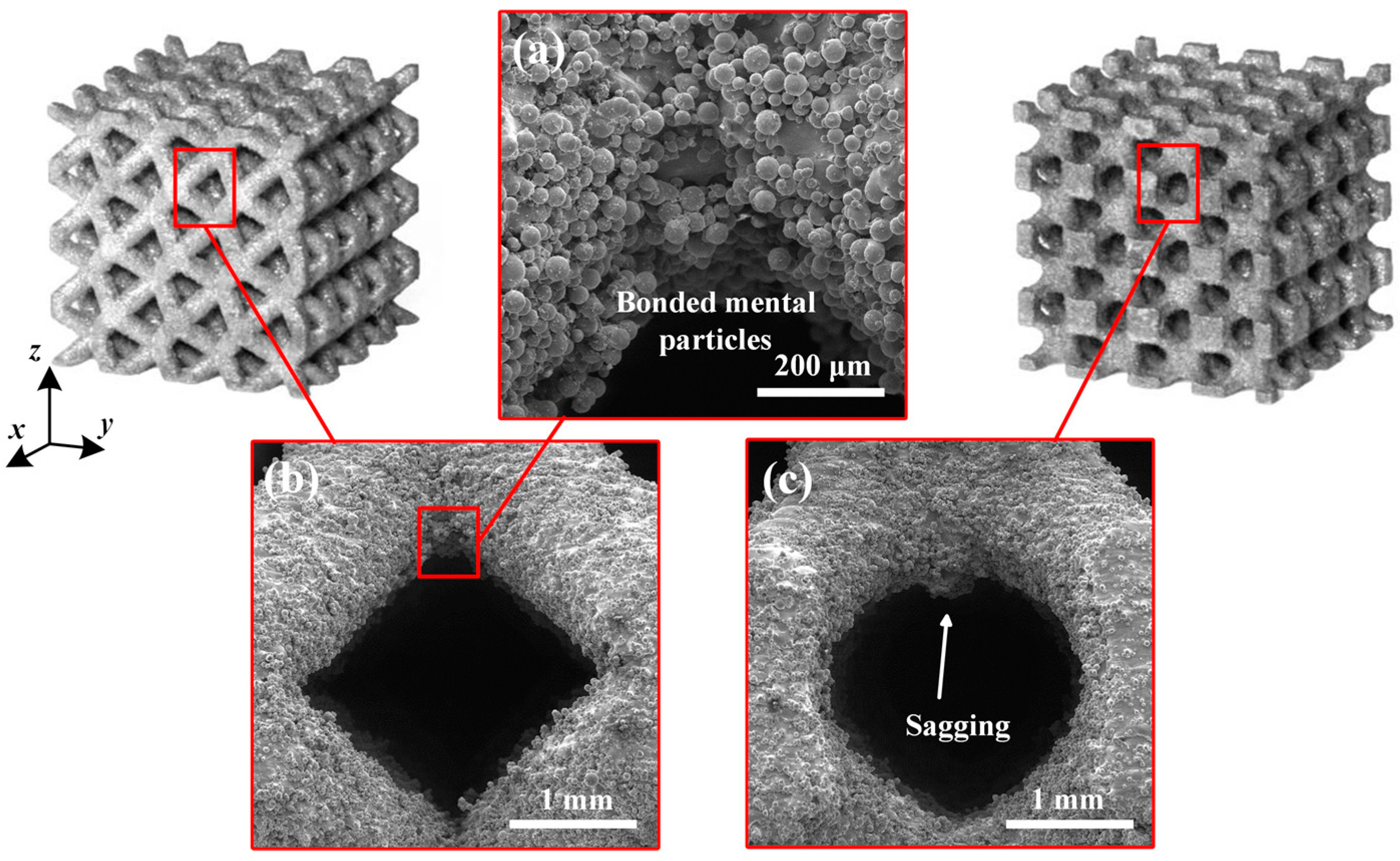 Improved Mechanical Properties and Energy Absorption of BCC Lattice ...