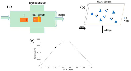 Research on the Factors Affecting the Growth of Large-Size Monolayer ...