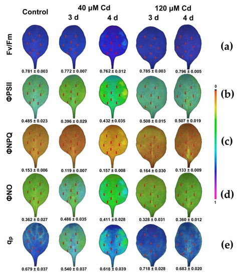 Materials | Special Issue : The Role of Metal Ions in Biology ...