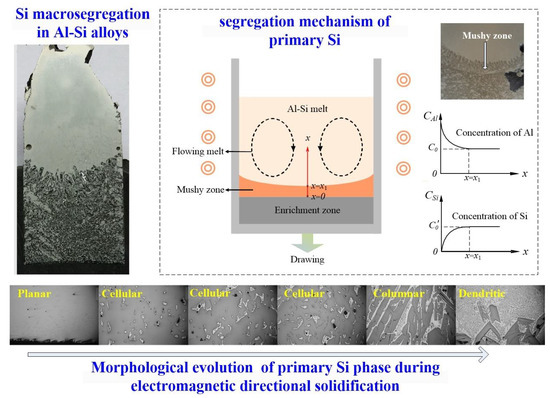 Materials | Free Full-Text | Segregation and Morphological Evolution of Si Phase during ...