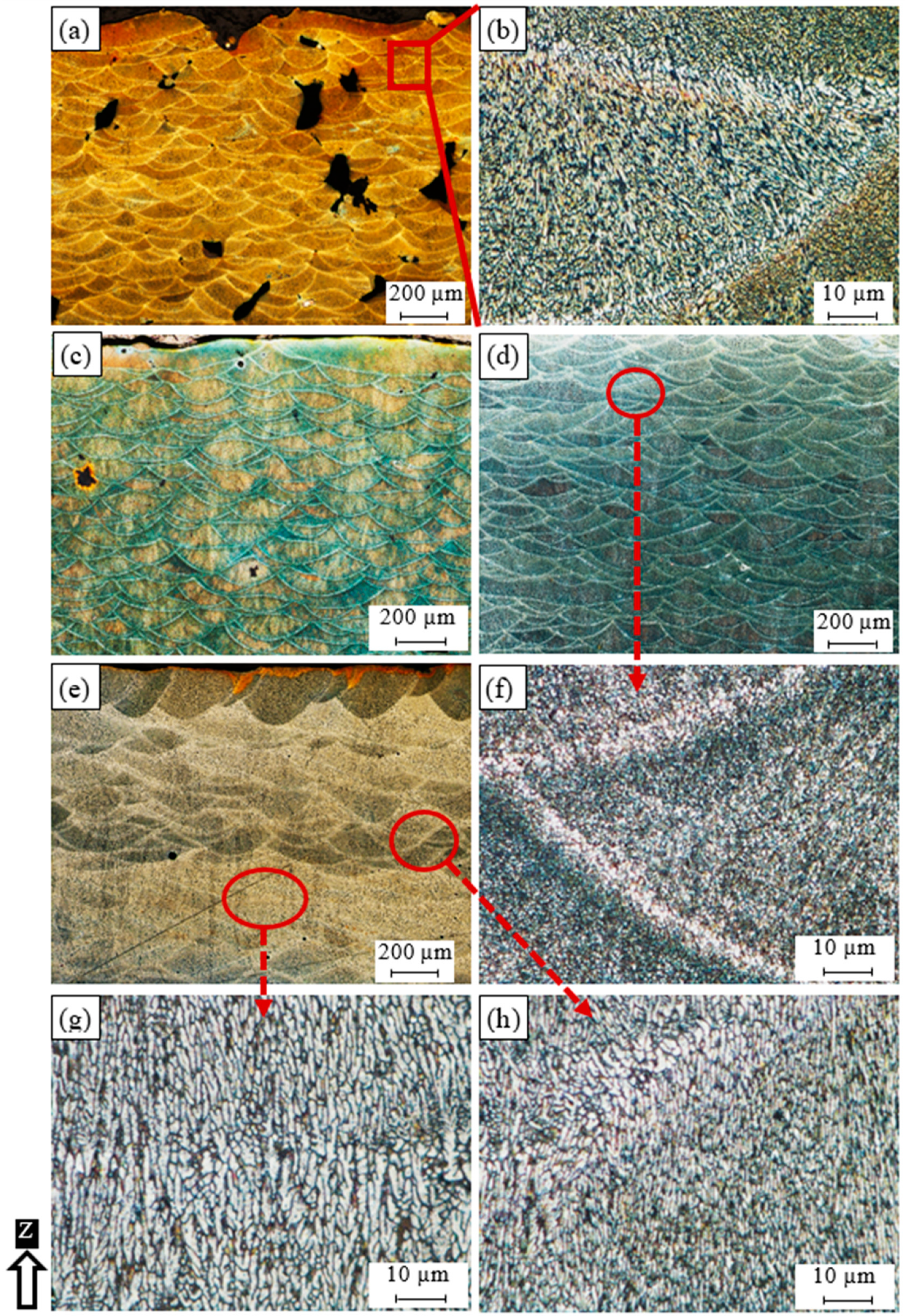 The Effect of Selective Laser Melting Process Parameters on the ...