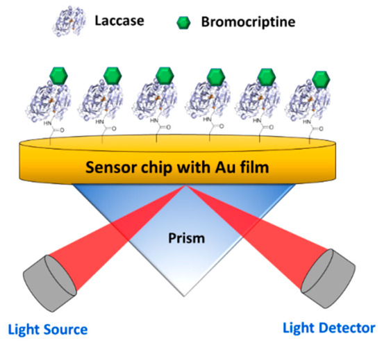 Immobilized Enzymes in Biosensor Applications