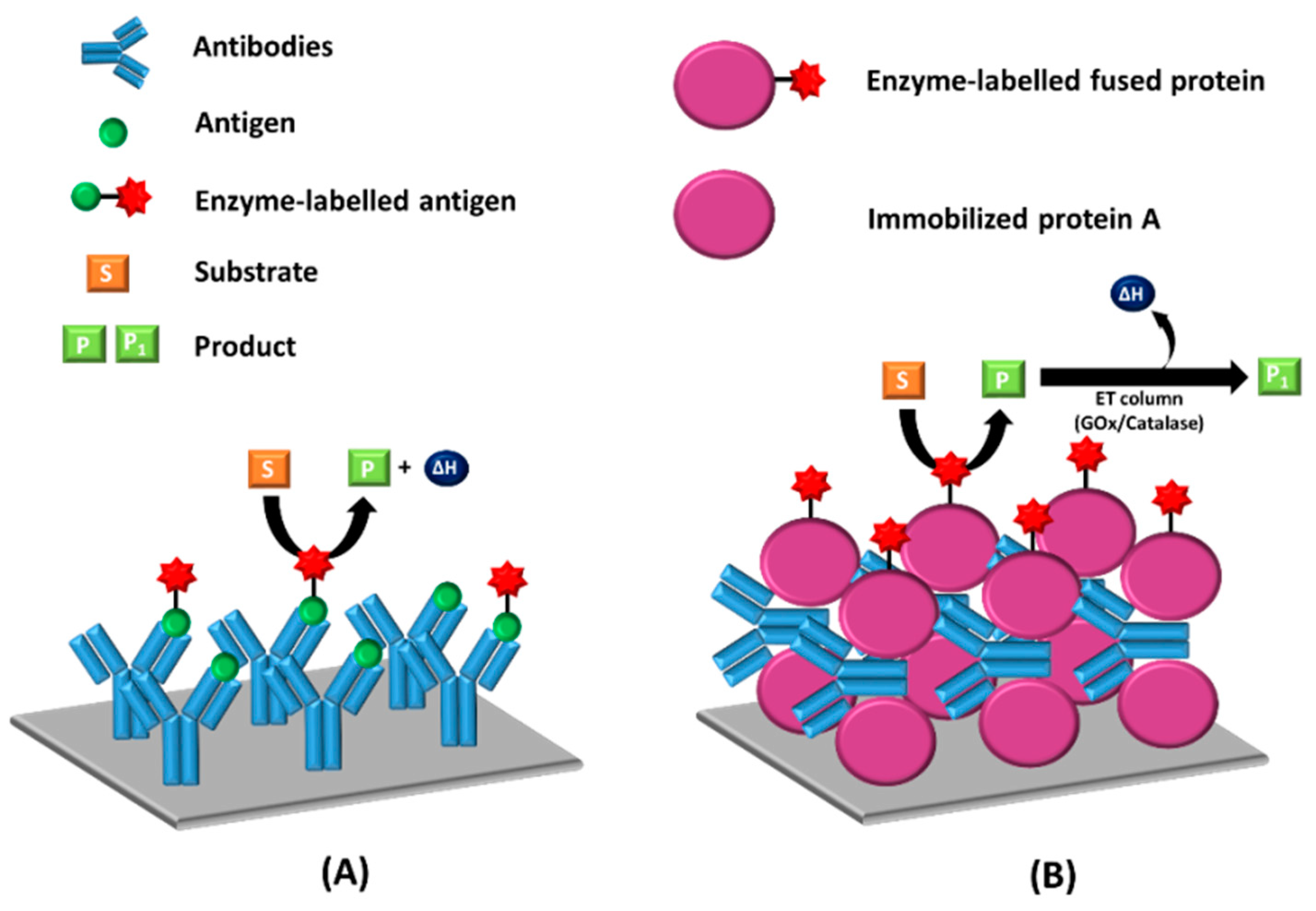 Materials Free Full Text Immobilized Enzymes In Biosensor Applications
