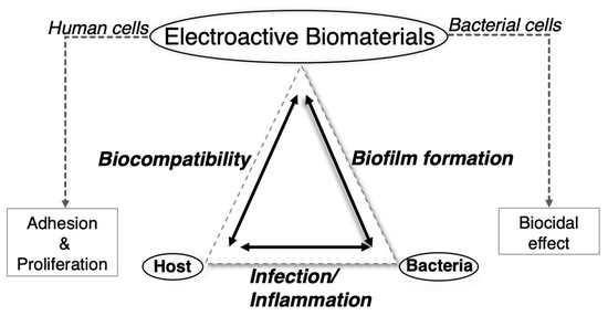 Electroactive Smart Polymers for Biomedical Applications