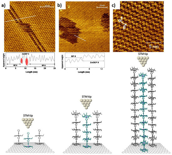 Bottom-Up Self-Assembled Supramolecular Structures Built by STM at the ...