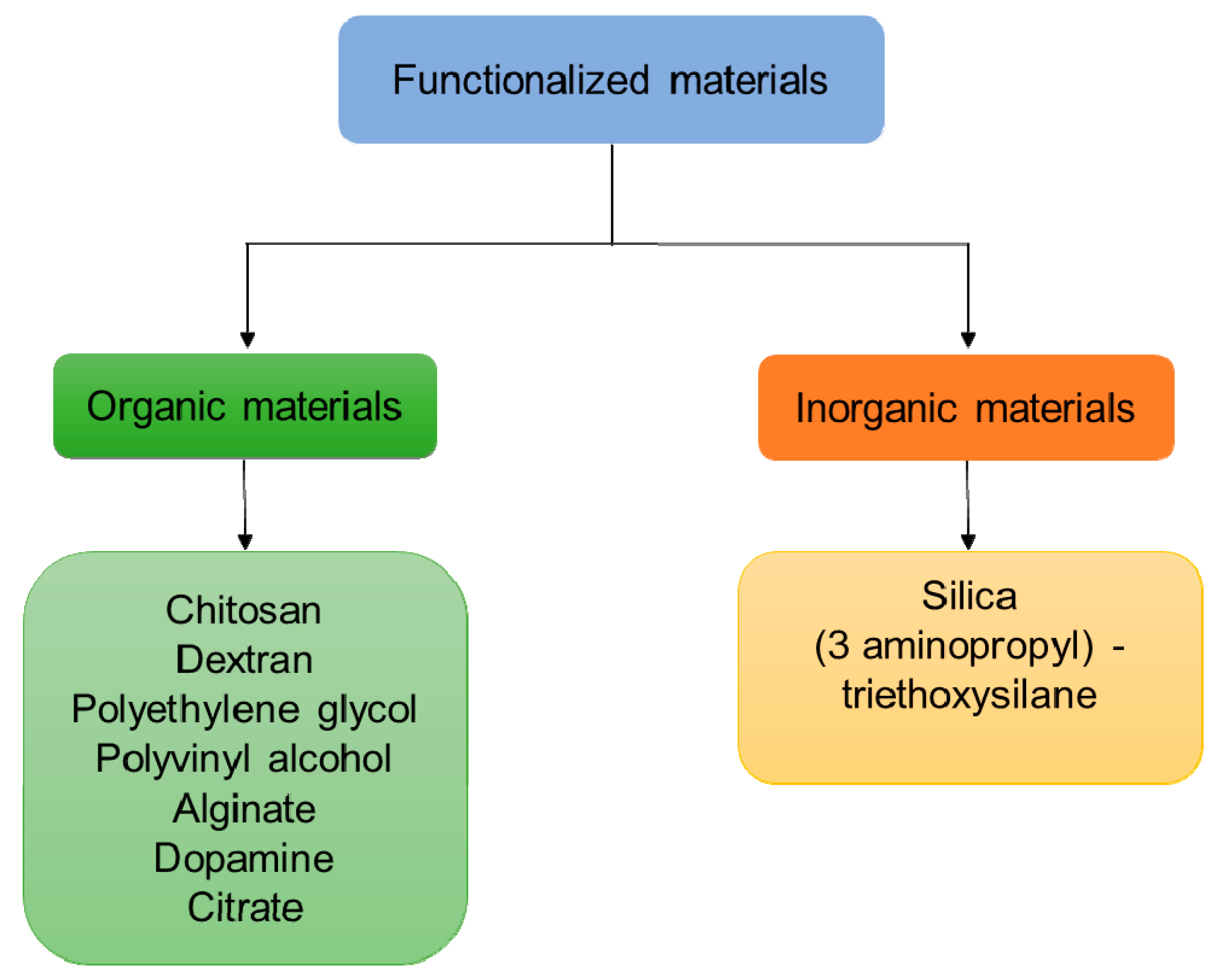Magnetic Iron Oxide Nanoparticles: Synthesis, Characterization and Functionalization for ...