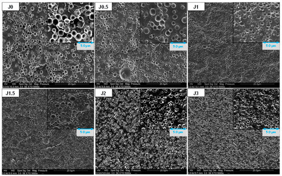 Reactive Compatibilization of PLA/PA11 Blends and Their Application in ...
