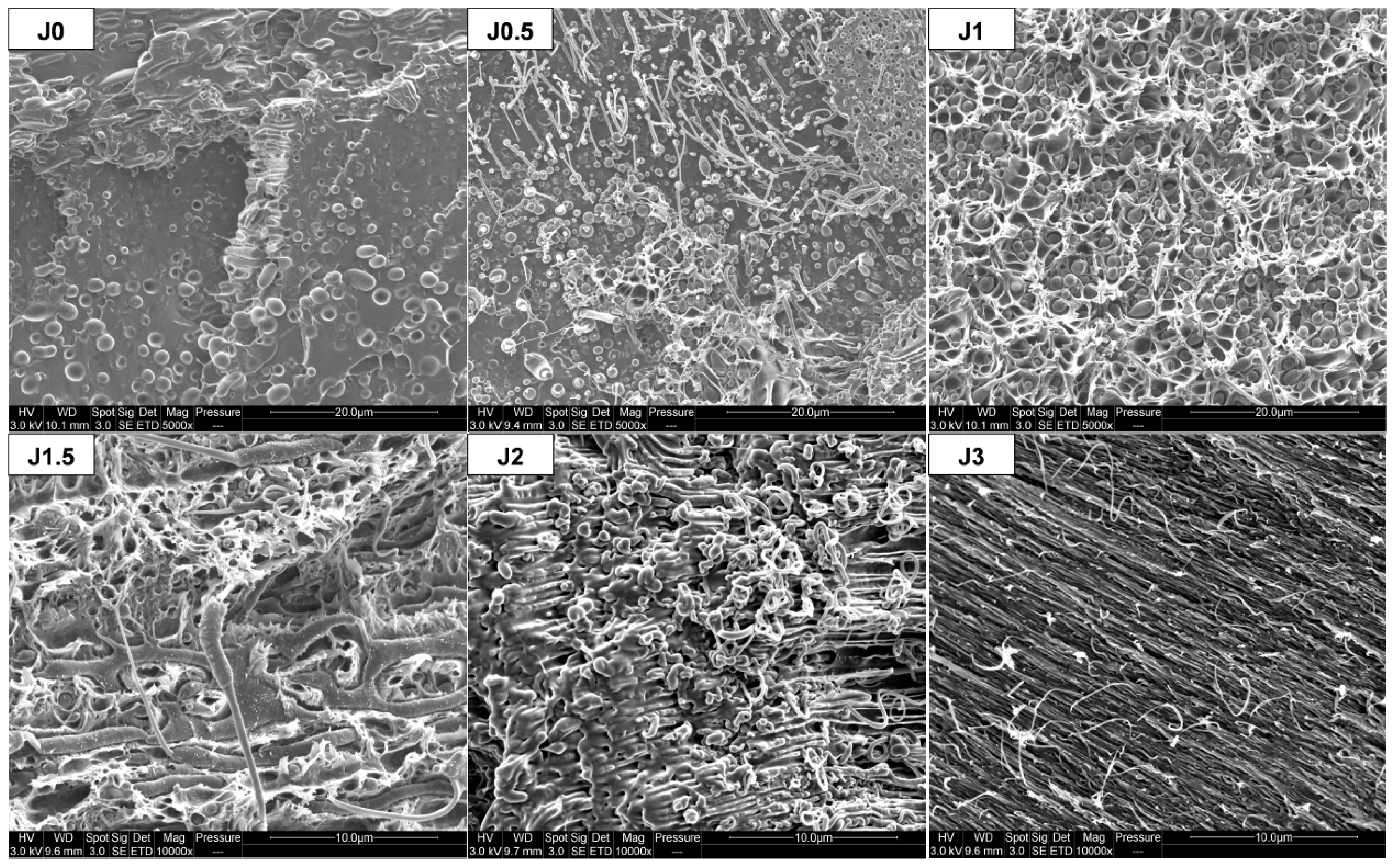 Reactive Compatibilization of PLA/PA11 Blends and Their Application in ...