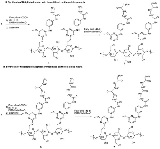 N-Lipidated Amino Acids and Peptides Immobilized on Cellulose Able to ...