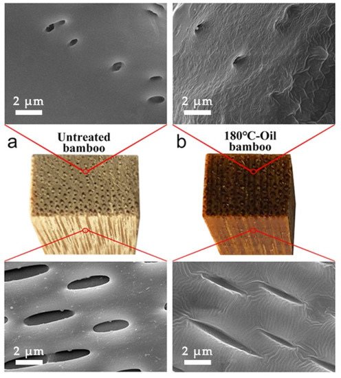 Research on the Physico-Mechanical Properties of Moso Bamboo with ...