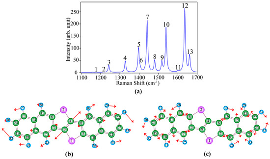 Raman Spectroscopic Studies of Dinaphthothienothiophene (DNTT)