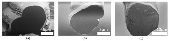 The Preparation and Characterization of Polyacrylonitrile-Polyaniline ...