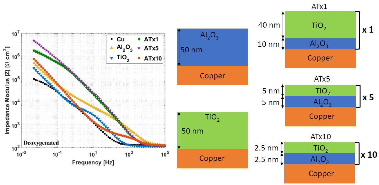 Materials | Free Full-Text | Investigation of the Corrosion Behavior of ...
