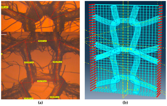 Materials | Special Issue : Recent Advances in Cellular Materials