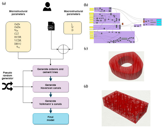 Parametric Modeling of Biomimetic Cortical Bone Microstructure for ...