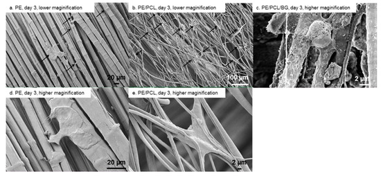 Materials | Special Issue : Bioceramics: Bioinert, Bioactive, and Coatings