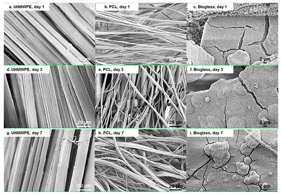 Materials | Special Issue : Bioceramics: Bioinert, Bioactive, and Coatings