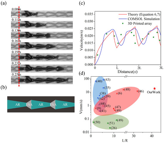 Continuous Directional Water Delivery on the 3D-Printed Arrowhead ...