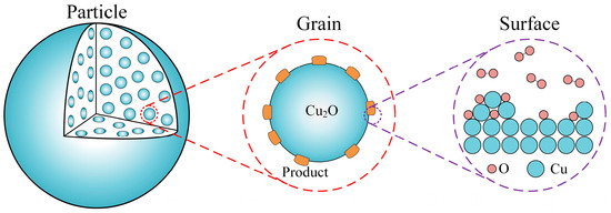 A Multiscale Model of Oxidation Kinetics for Cu-Based Oxygen Carrier in ...