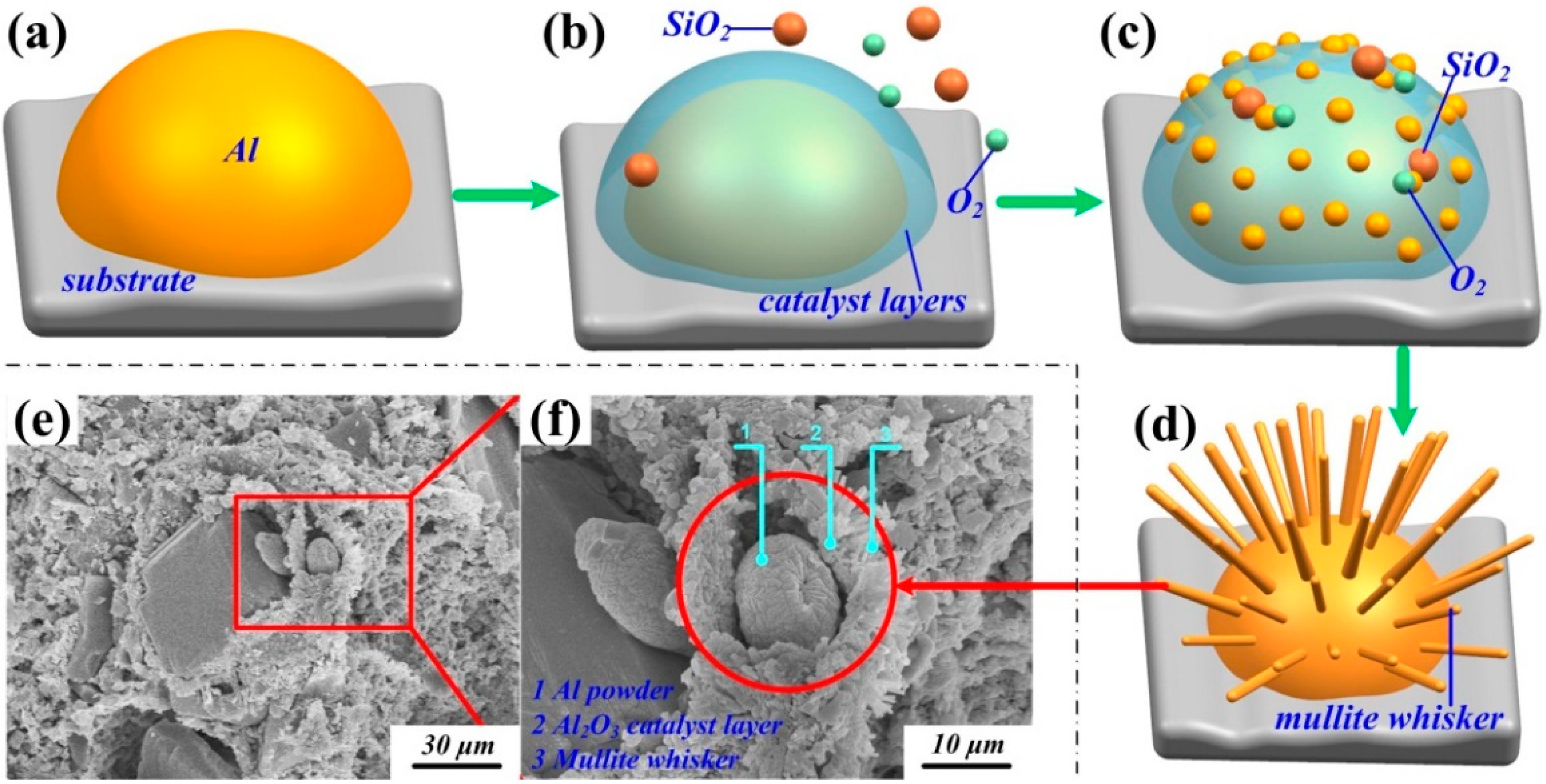 Materials | Free Full-Text | Effect of Urchin-Like Mullite Whiskers on ... Materials | Free Full-Text | Effect of Urchin-Like Mullite Whiskers on ...