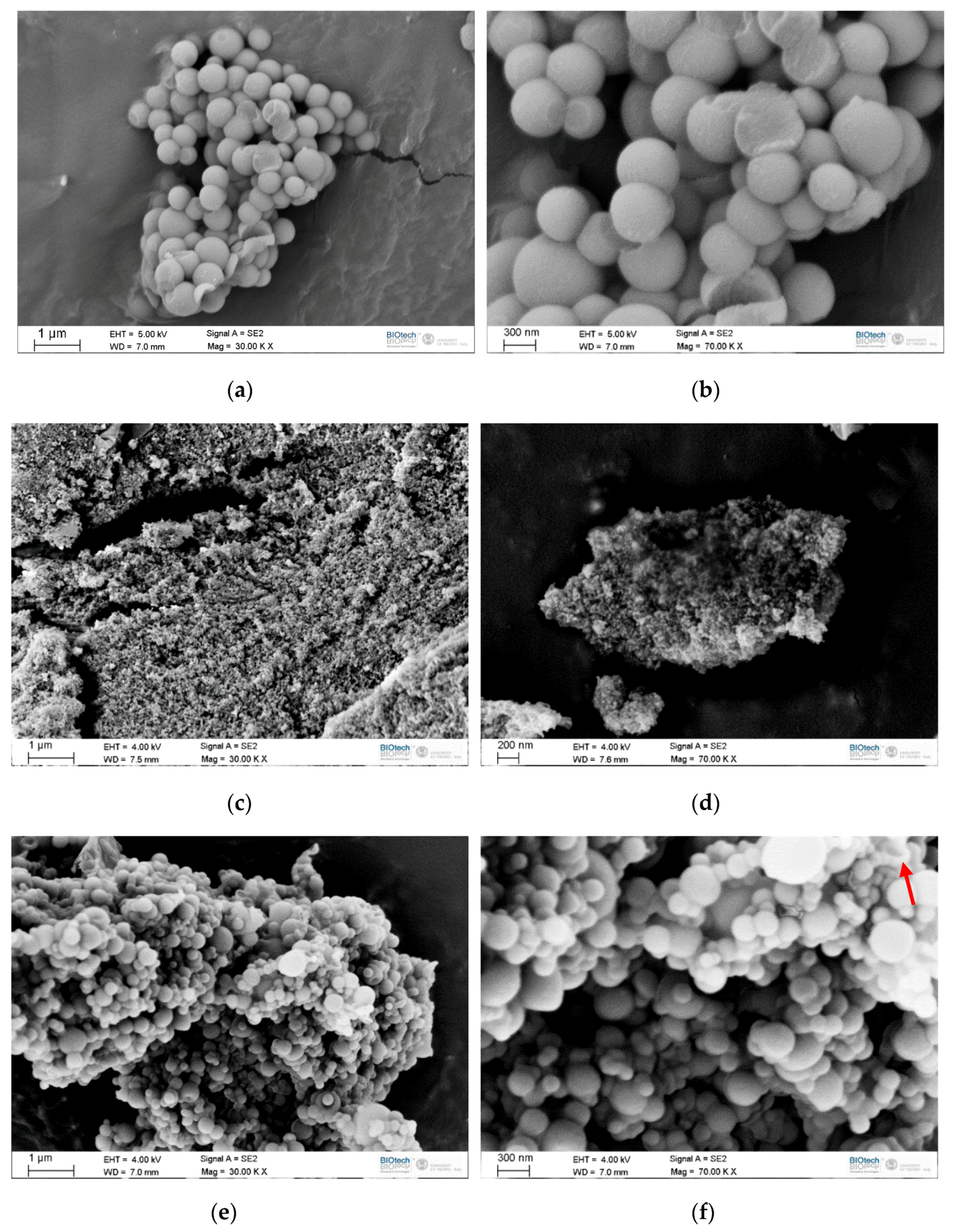 Docosane-Organosilica Microcapsules for Structural Composites with ...