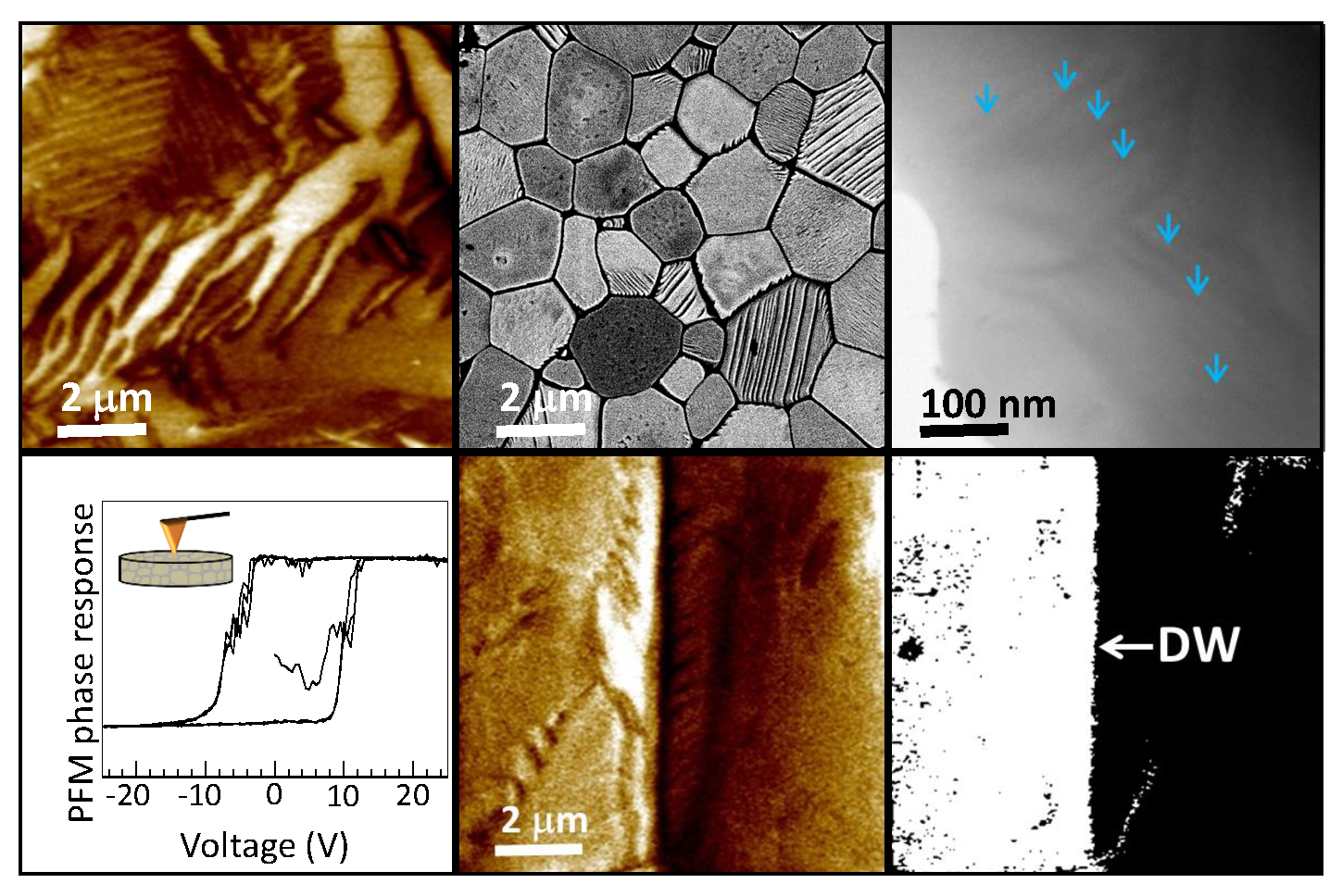 Materials | Free Full-Text | Structure and Dynamics of Ferroelectric ...