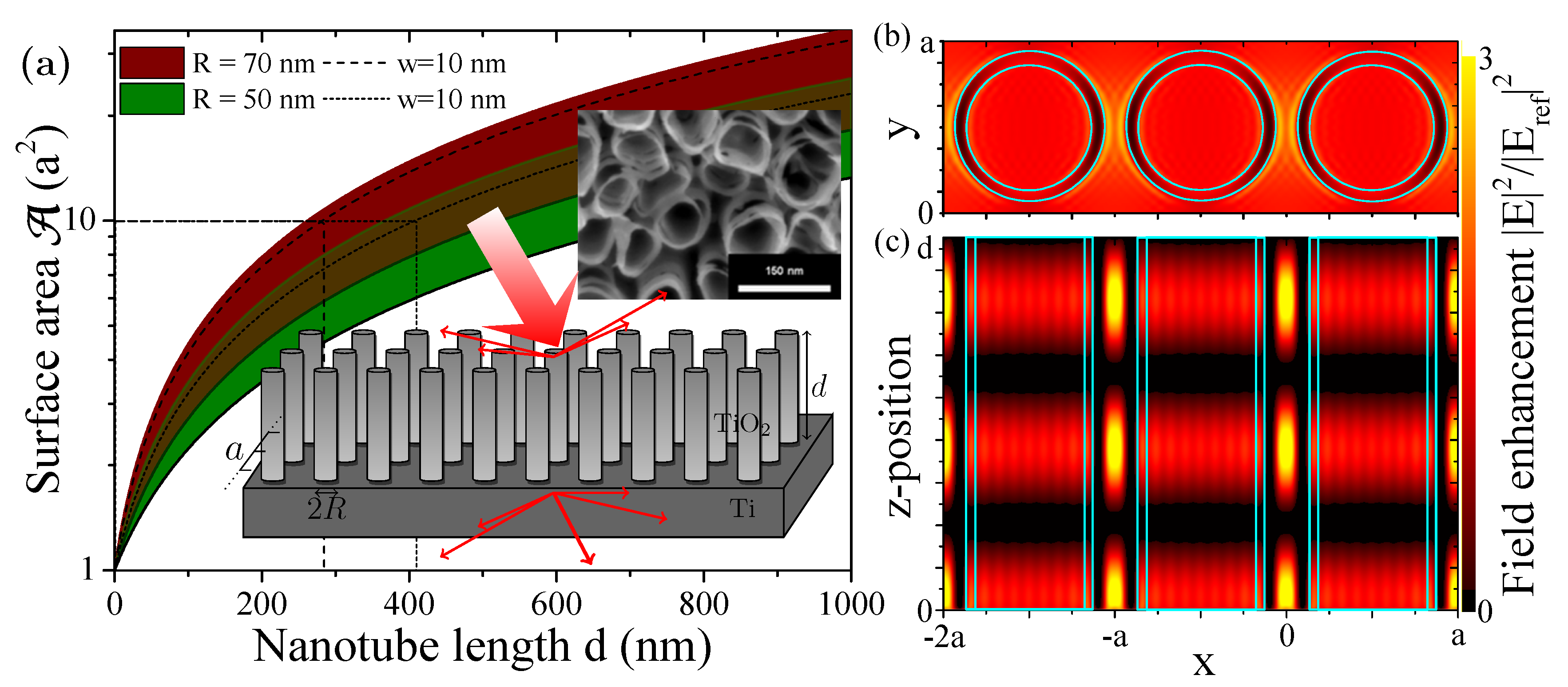 TiO2 Self-Assembled, Thin-Walled Nanotube Arrays for Photonic Applications