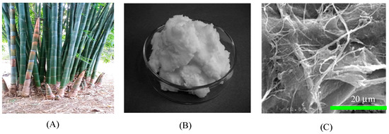 Micron-Size White Bamboo Fibril-Based Silane Cellulose Aerogel ...