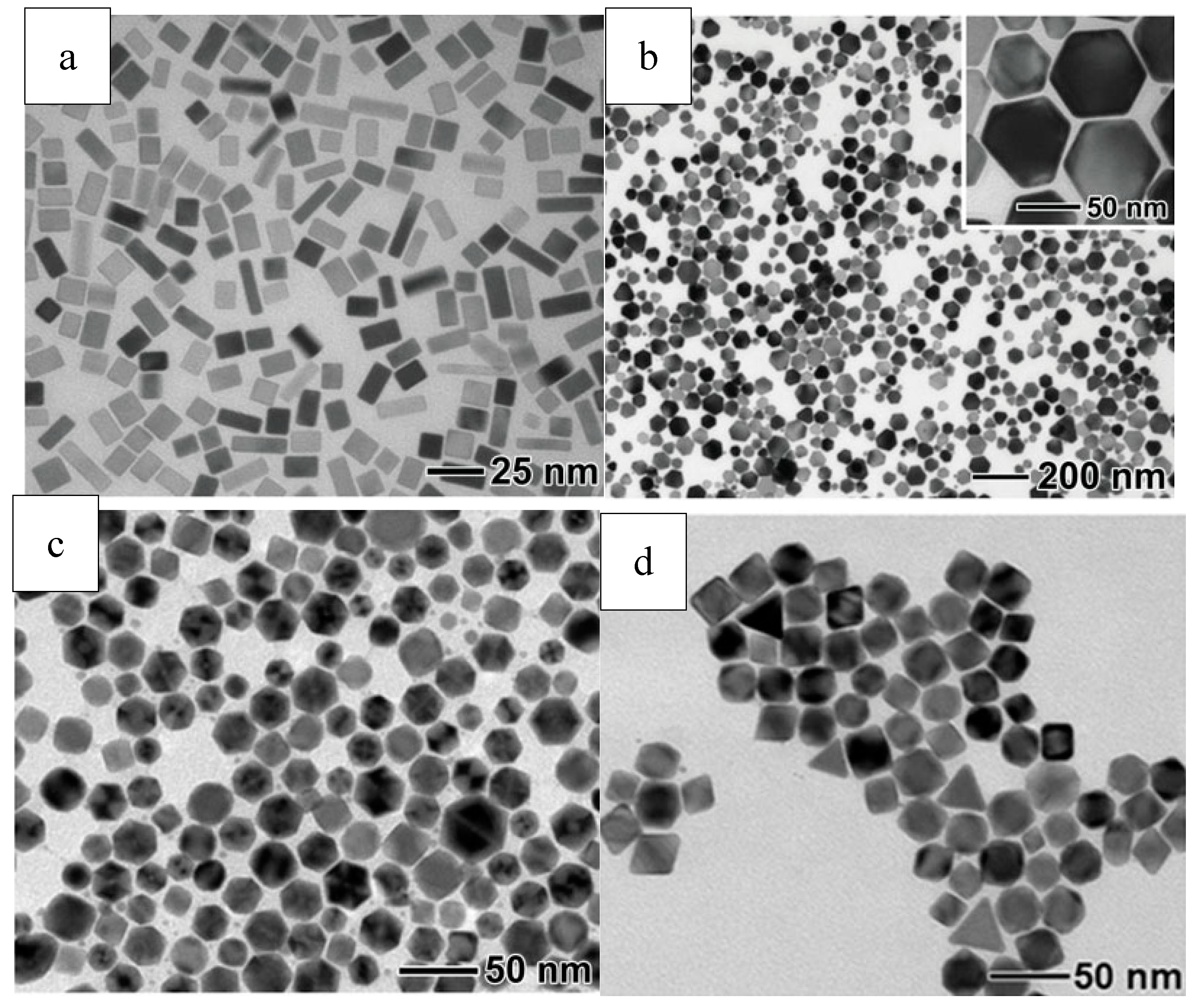 Synthesis of Metallic Nanocrystals: From Noble Metals to Base Metals