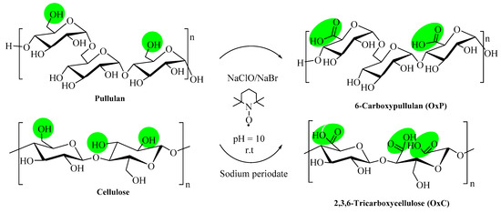 Physical Hydrogels of Oxidized Polysaccharides and Poly(Vinyl Alcohol ...