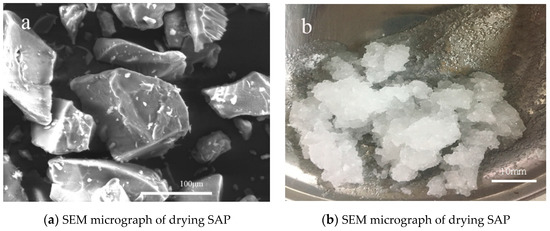 Performances of Cement Mortar Incorporating Superabsorbent Polymer (SAP ...