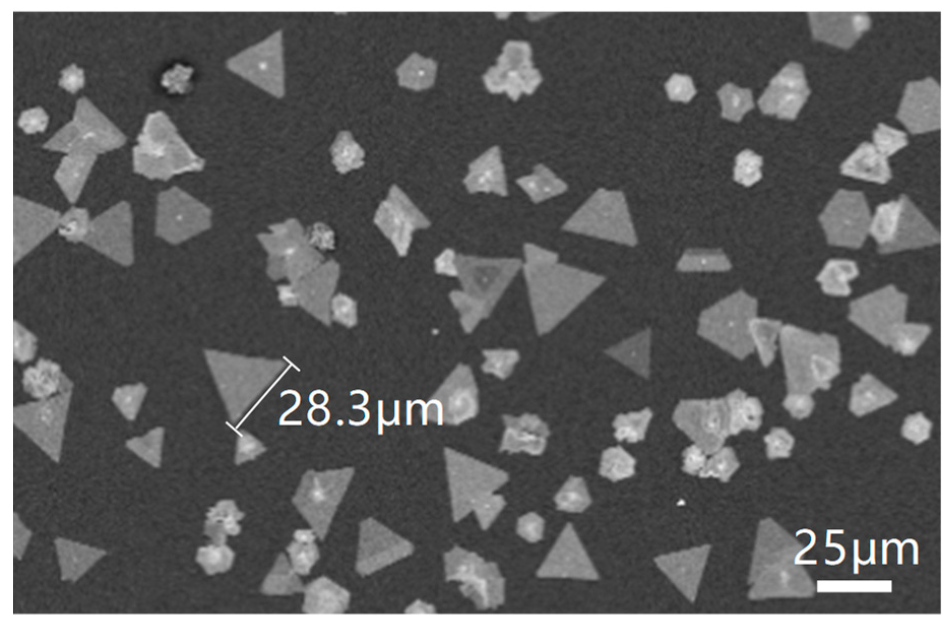 ZnO-Controlled Growth of Monolayer WS2 through Chemical Vapor Deposition