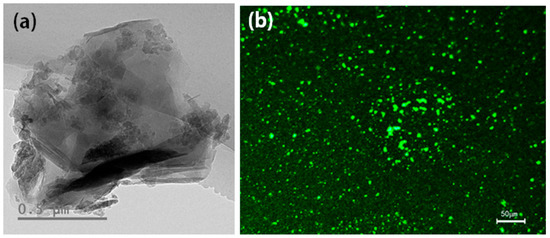 A Study on Modified Bitumen with Metal Doped Nano-TiO2 Pillared ...