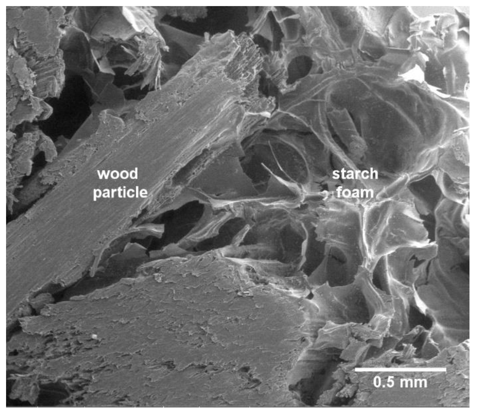 Low Density Wood Particleboards Bonded with Starch Foam—Study of ...