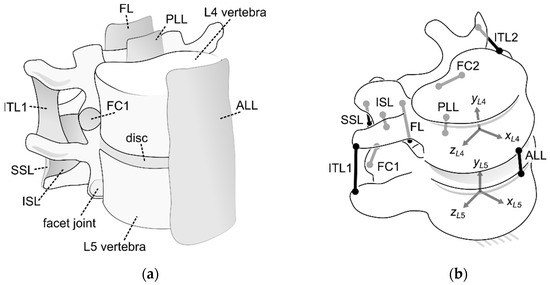 Structural and Material Optimization for Automatic Synthesis of Spine ...