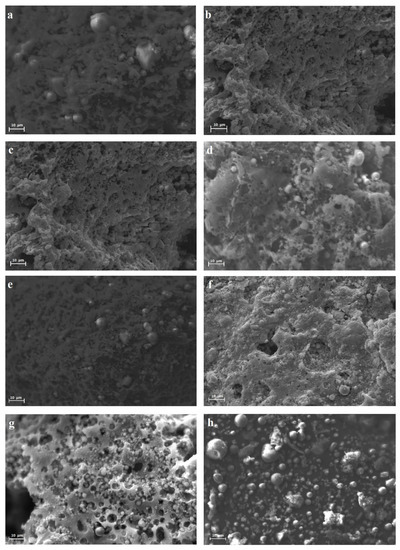 Development and Characterization of Glass-Ceramics from Combinations of ...