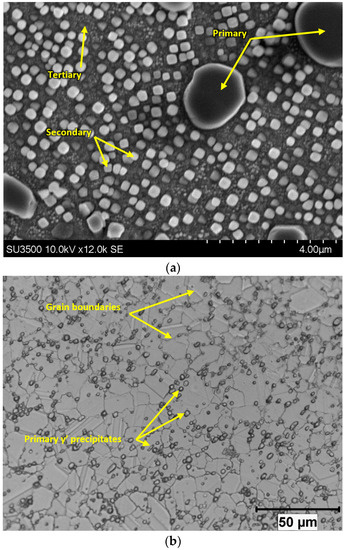 Machinability of Rene 65 Superalloy