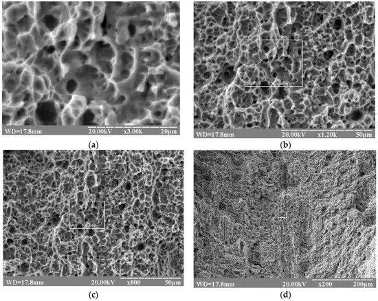Morphological Characteristics of Dimples of Ductile Fracture of VT23M ...