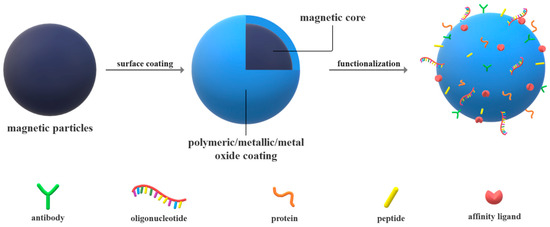 Materials | Free Full-Text | Magnetic Particles for Advanced Molecular ...