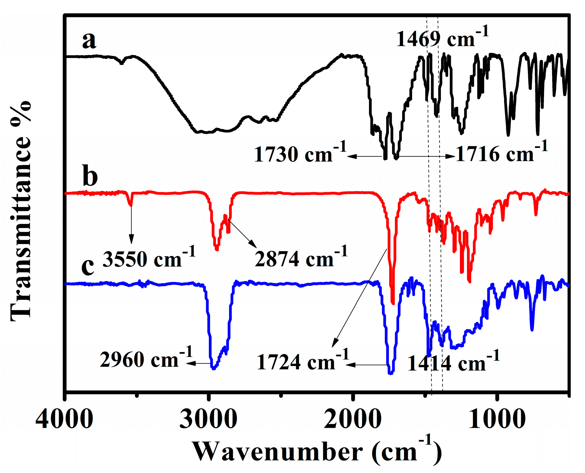 Synthesis and Characterization of Polycaprolactone Modified ...