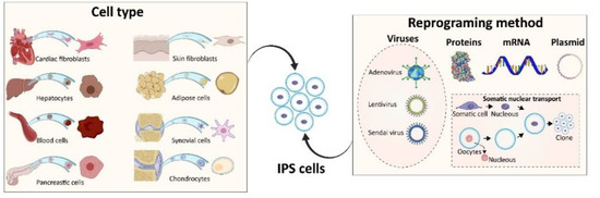 iPSC Bioprinting: Where are We at?