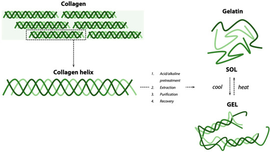 Cross-Linking Strategies for Electrospun Gelatin Scaffolds