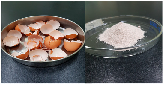 Effect of Eggshell Powder on the Hydration of Cement Paste