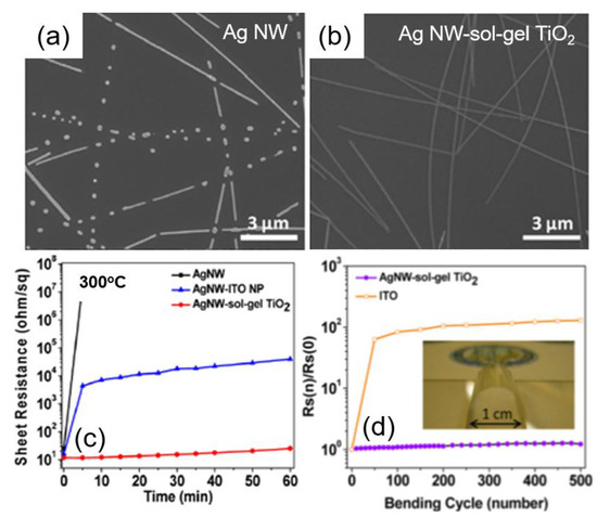Silver Nanowire Networks: Mechano-Electric Properties and Applications