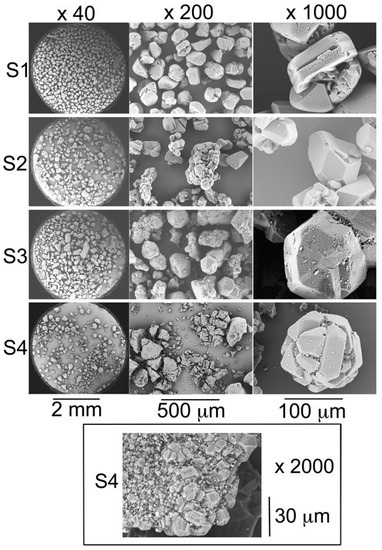 [60]Fullerene for Medicinal Purposes, A Purity Criterion towards ...